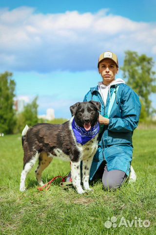 Преданный Каен ищет своего хозяина