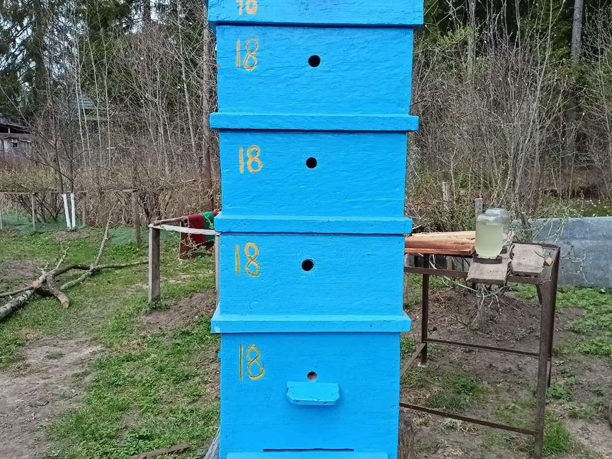 Ульи рут 2500