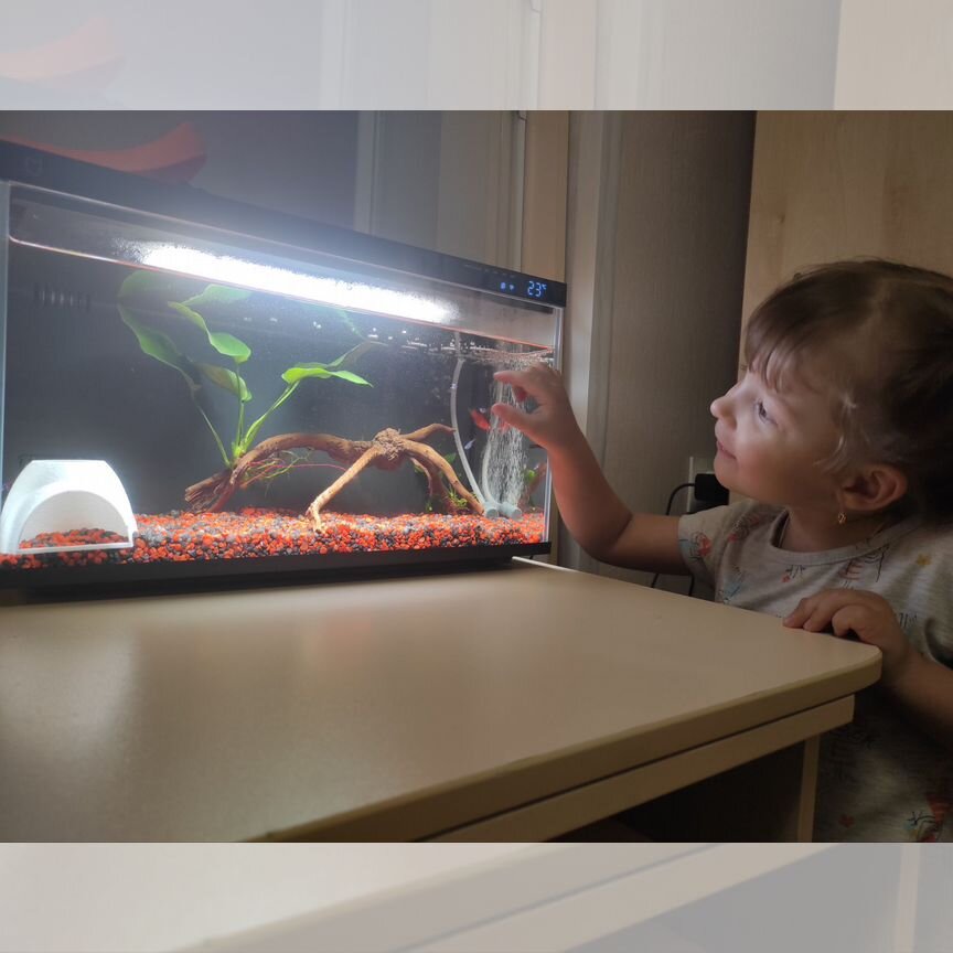 Умный аквариум xiaomi