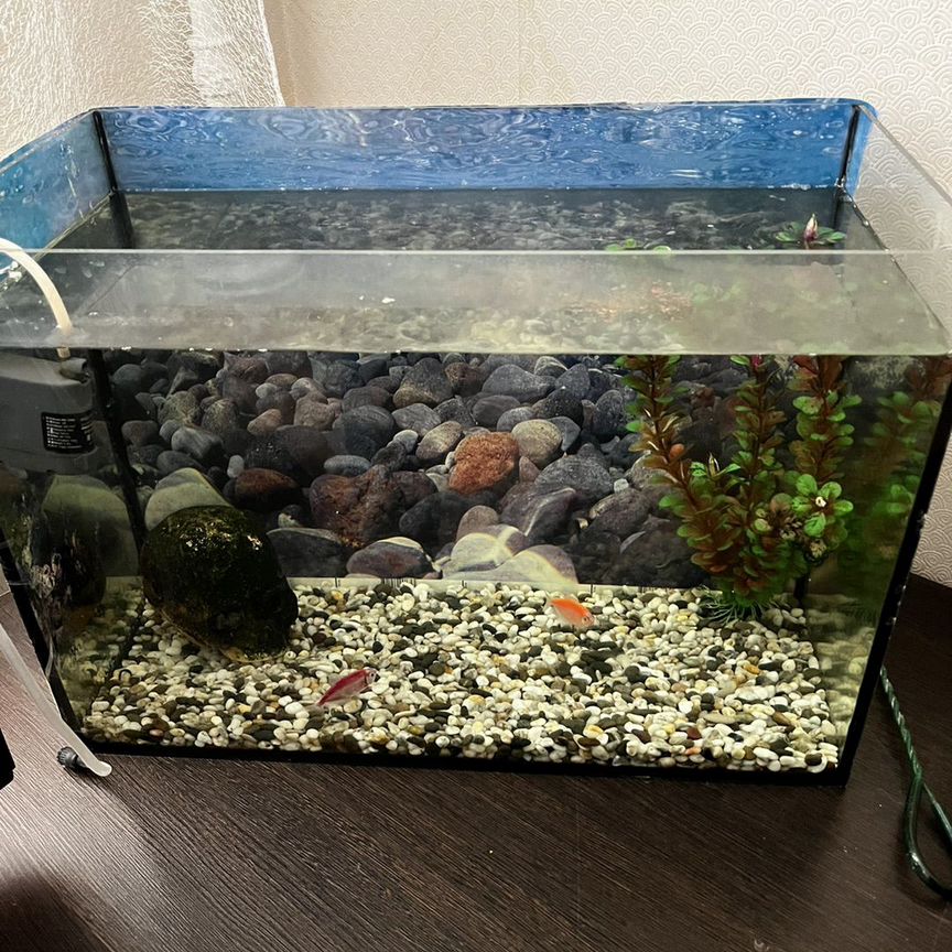 Аквариум с рыбками