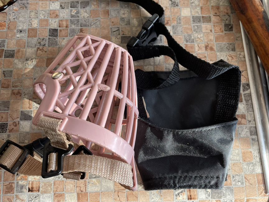 Намордник для средней собаки