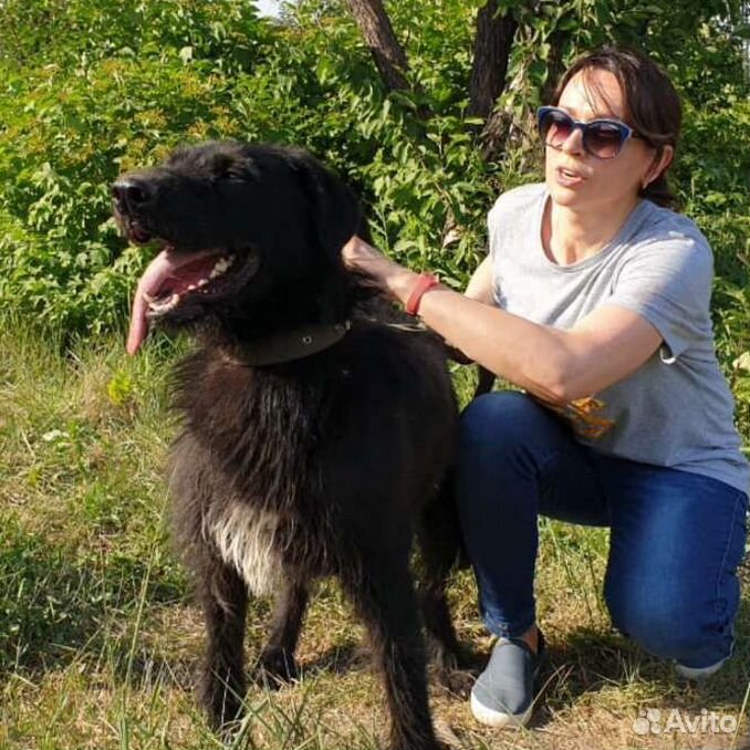 Крутой парень добрый ищет семью