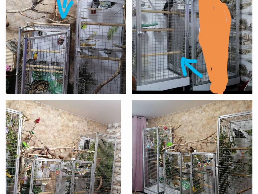 Вольер для попугая