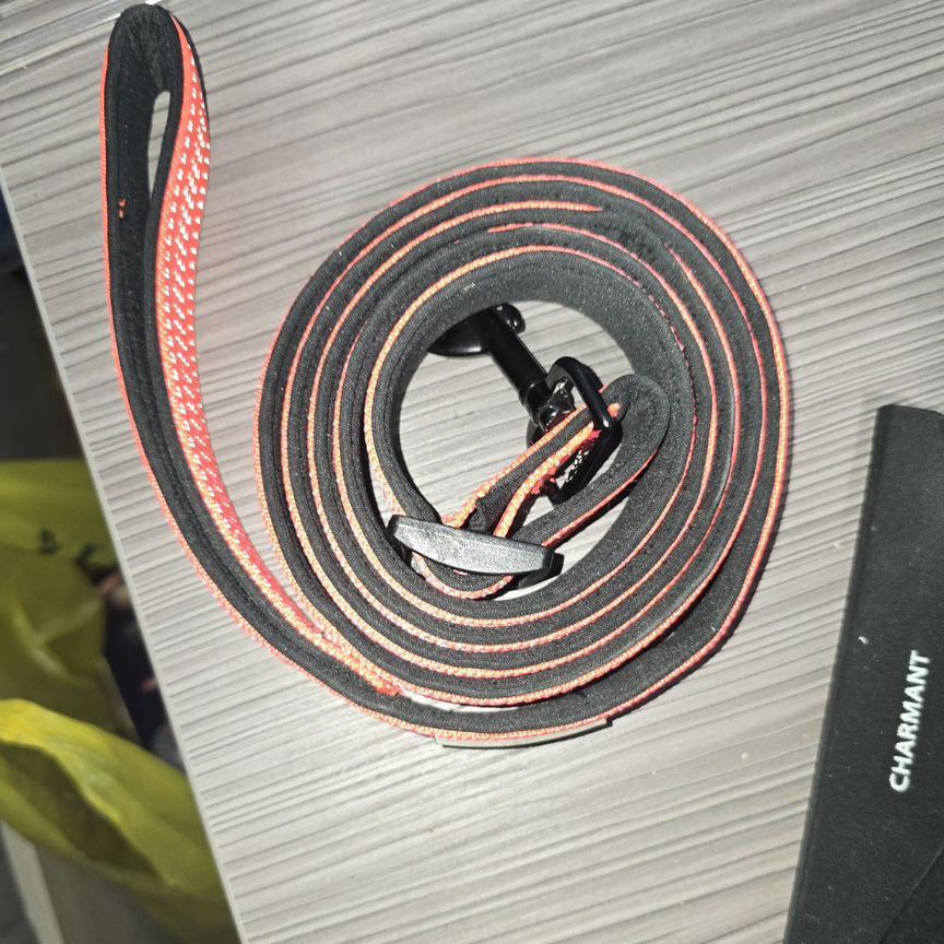 Поводок для собак