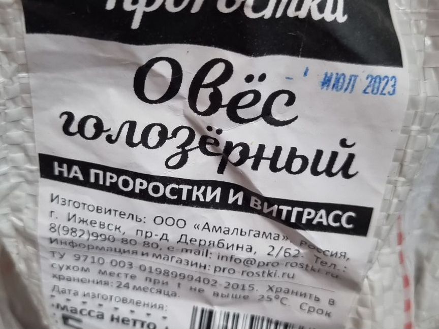 Овес голозерный на проростки