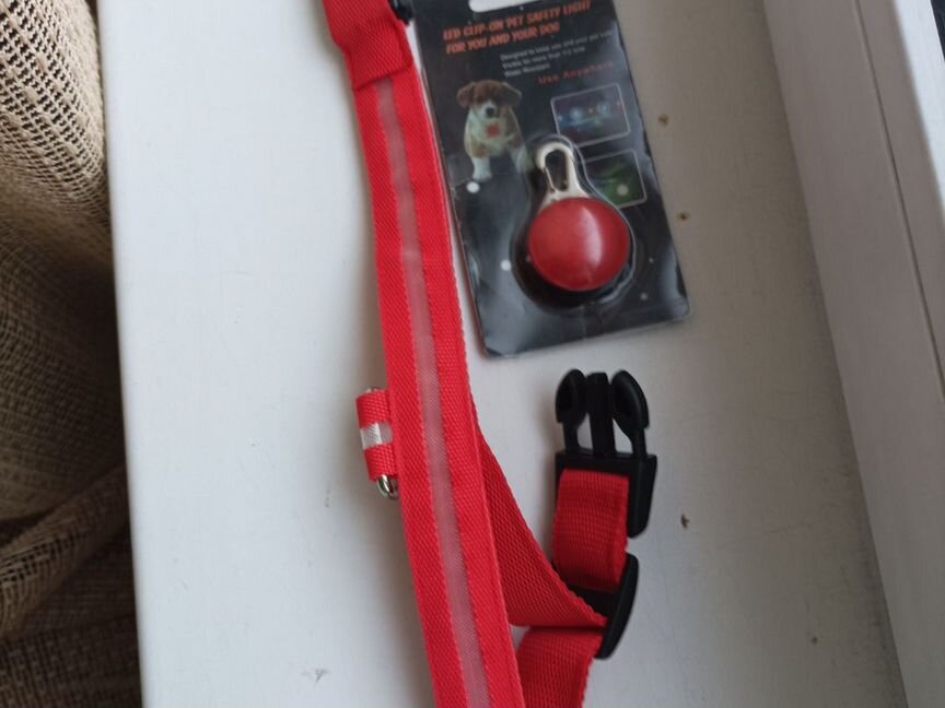 Светящийся ошейник и брелок