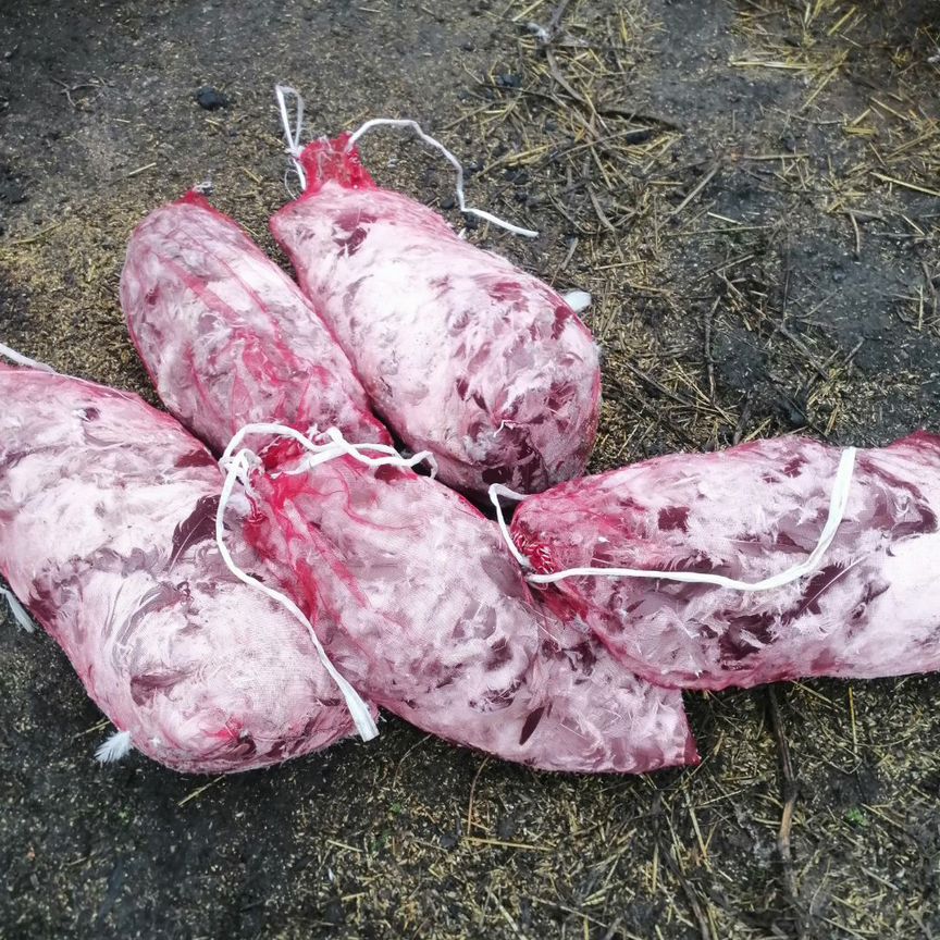 Пух гусиный