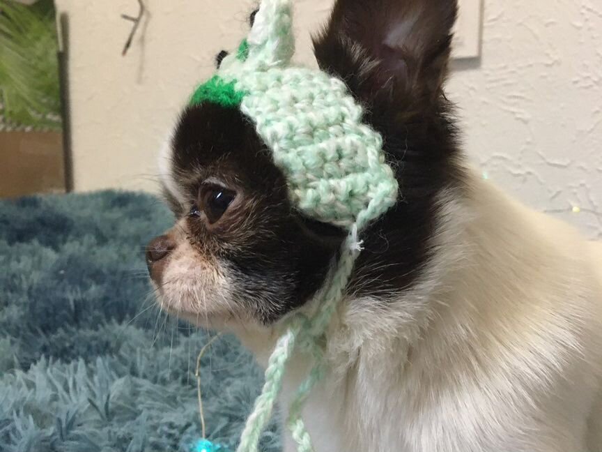 Повязка на голову лягушка. Для кошек/собак