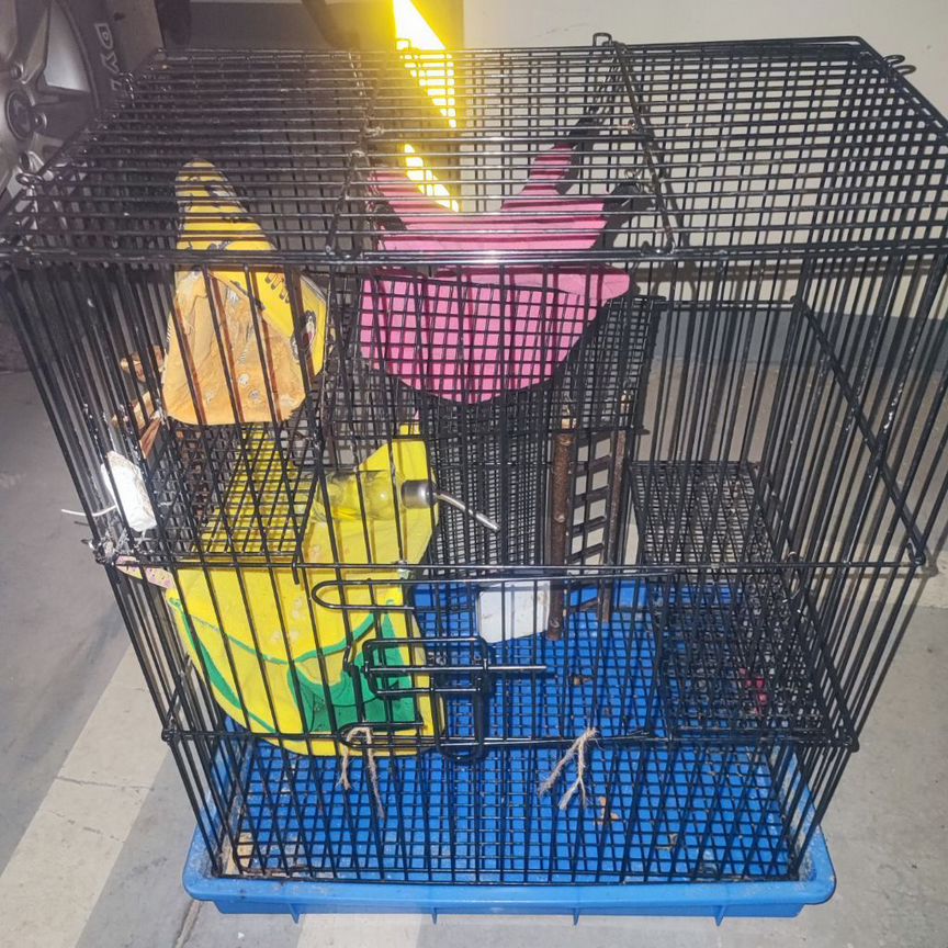 Клетка для грызунов очень большая