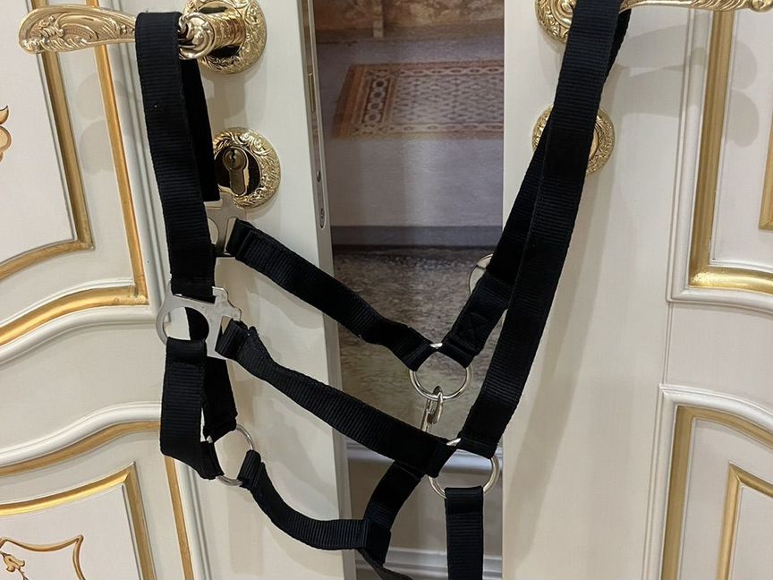 Недоуздок для лошади