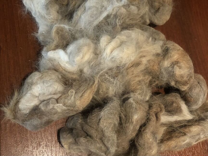 Кошачья шерсть