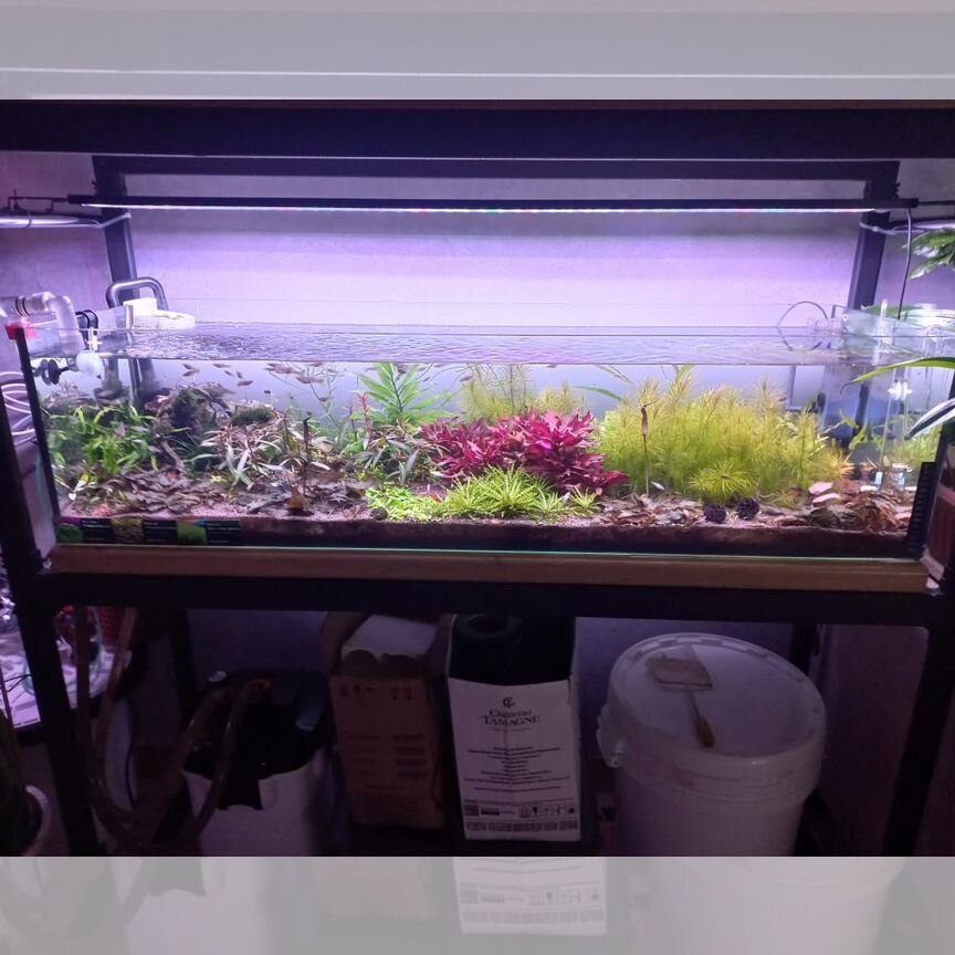 Светильник для аквариума Seaoyra 48w 24/7