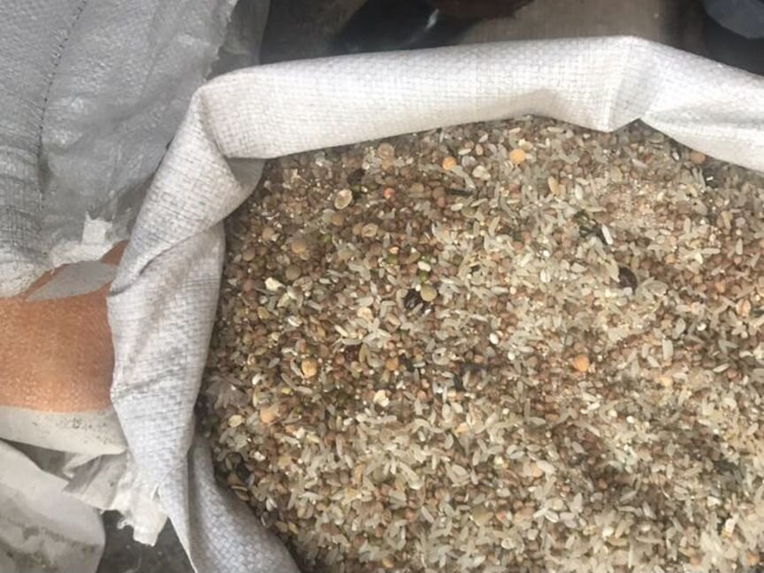 Корм для животных