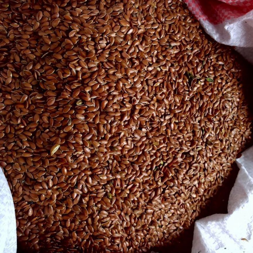 Зерно льна от поставщика