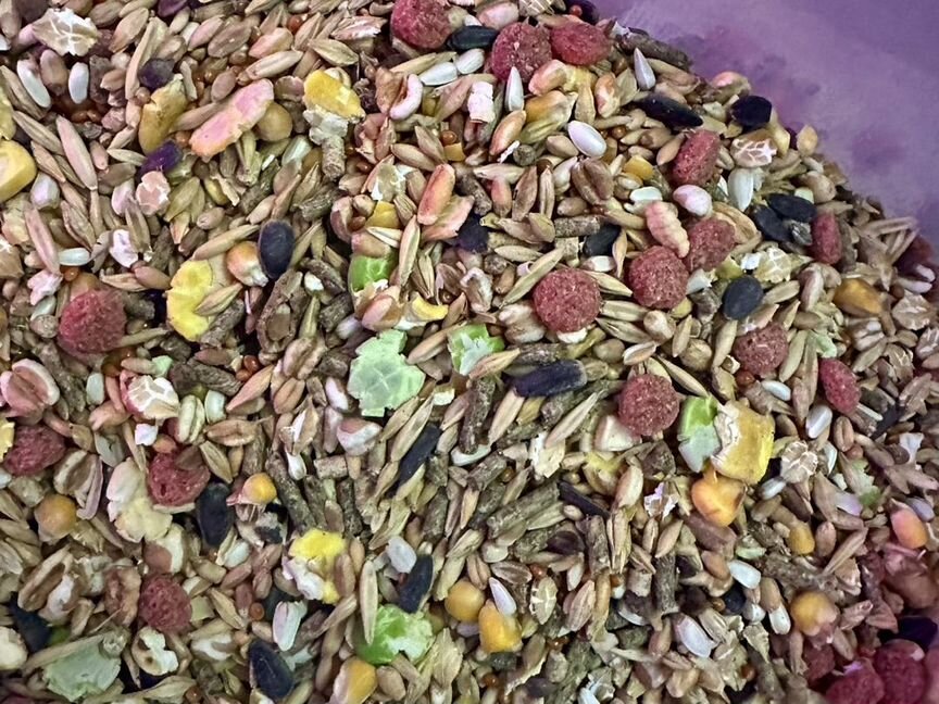 Корм для крыс