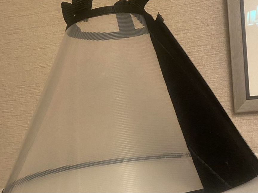 Воротник для животных 25, подгузники