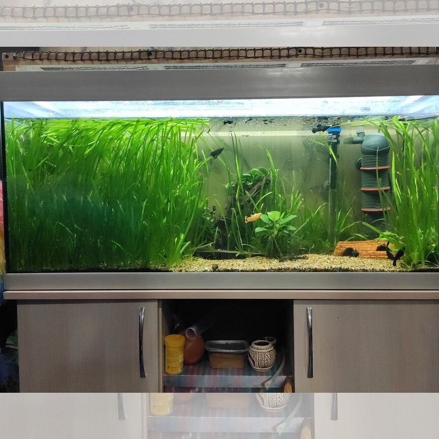 Аквариум eheim 180 л