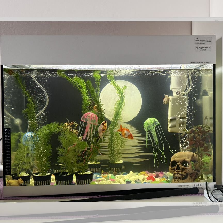 Аквариум 70 литров