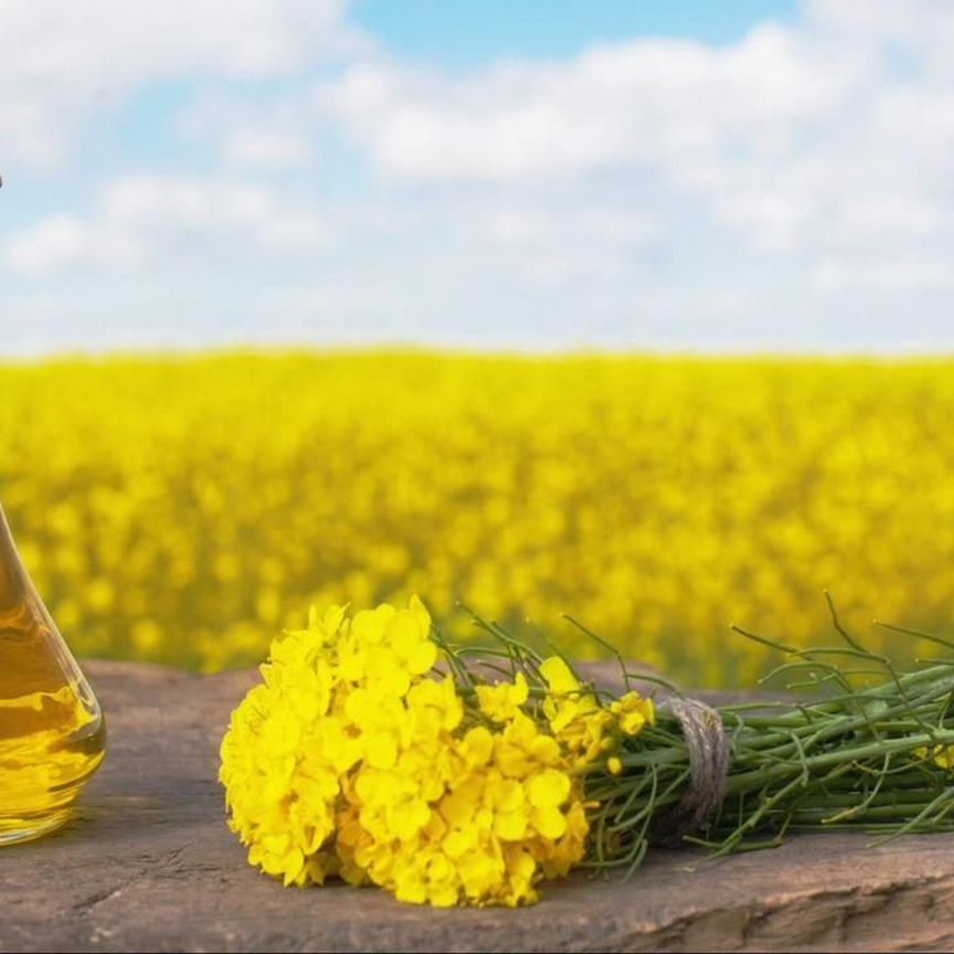 Рапсовое масло