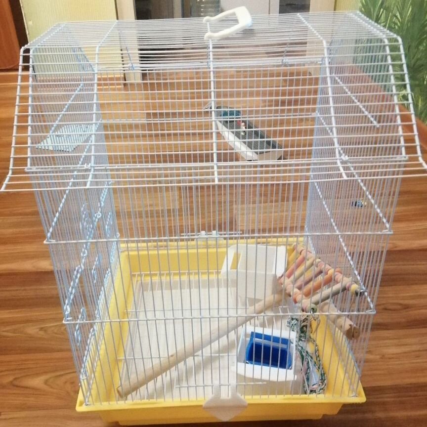 Клетка для попугая