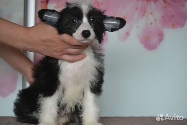 Пуховая девочка