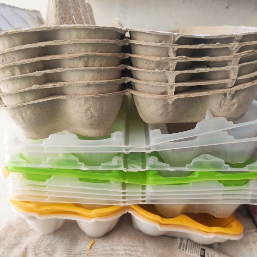 Лотки от яиц отдам бесплатно