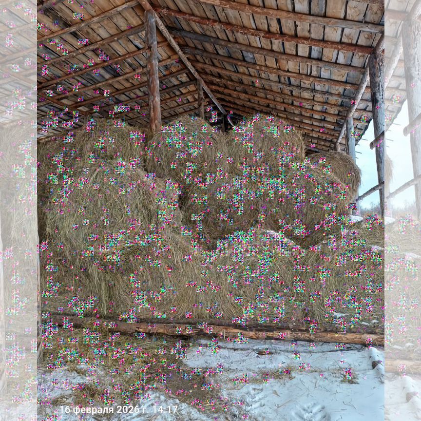 Продам сено в рулонах