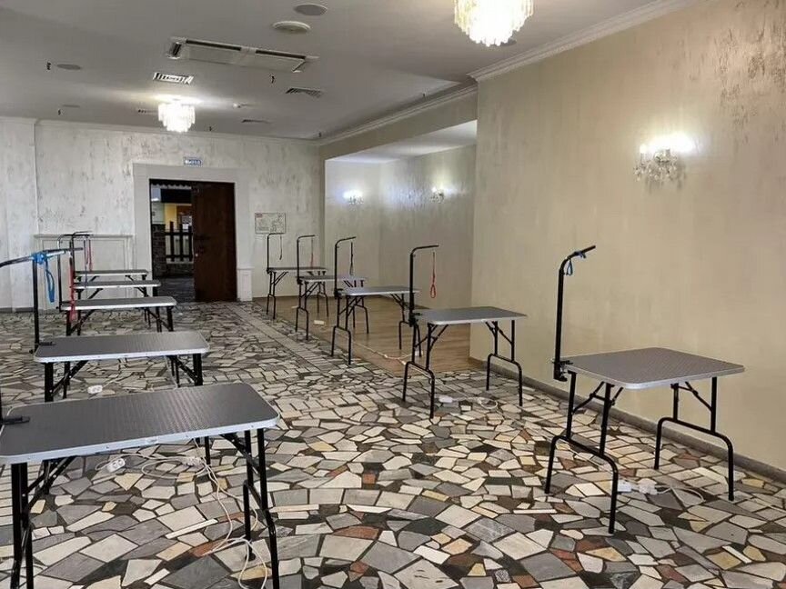 Стол для груминга складной