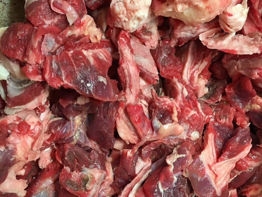 Мясо говядина для собак