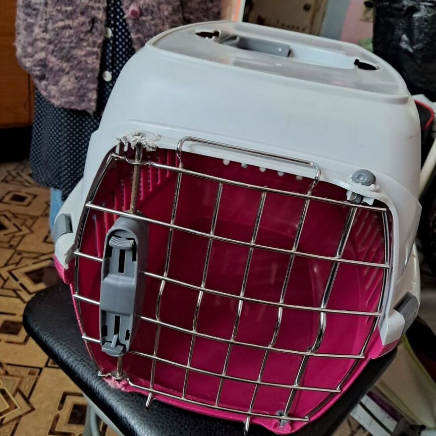 Переноска для кошек бу