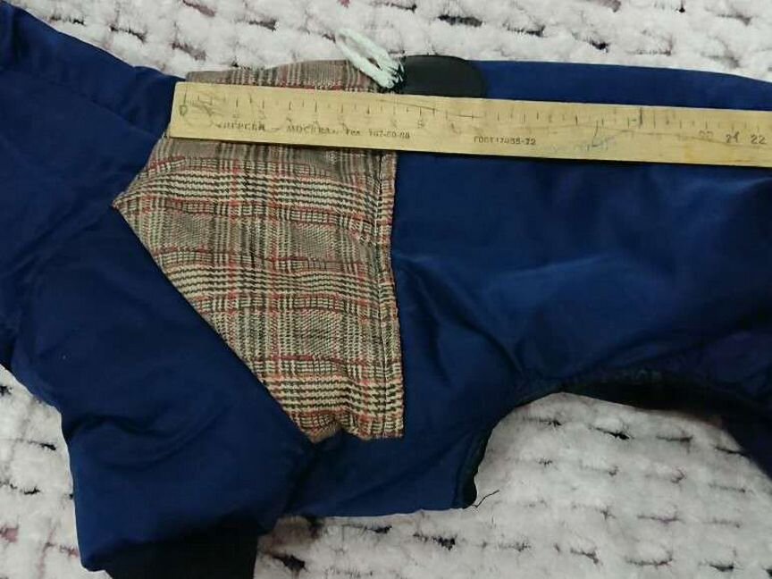 Одежда для собак