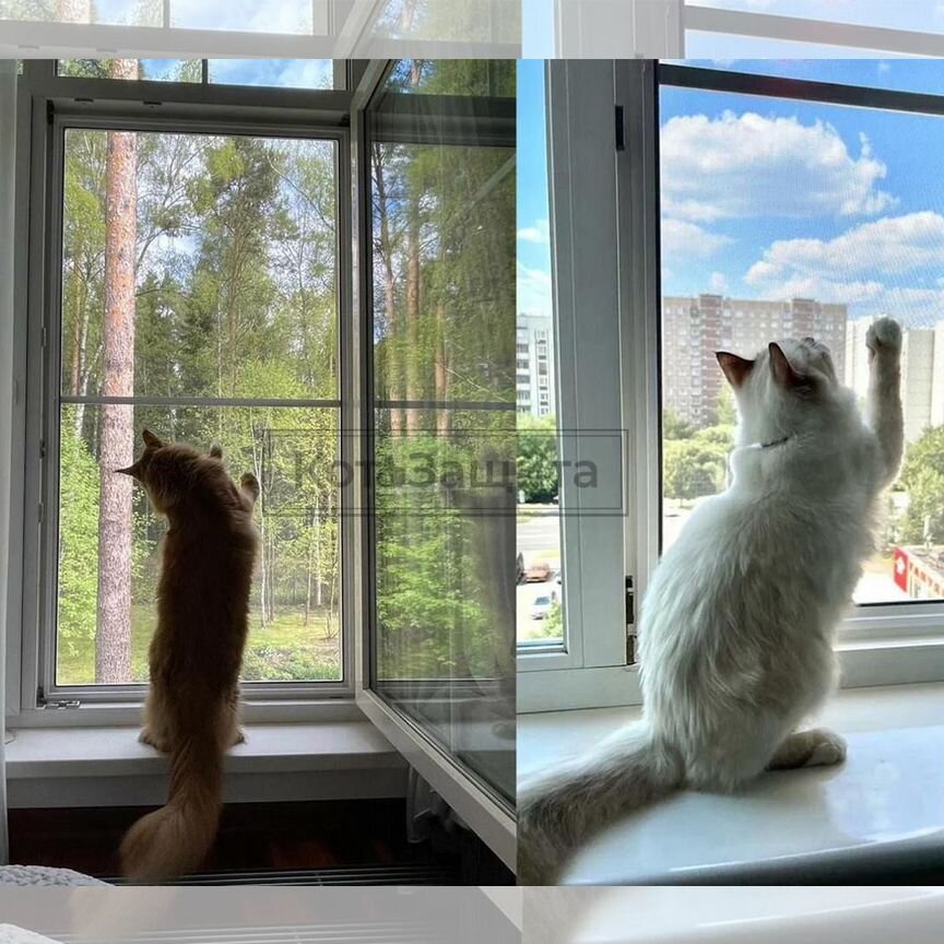Защитная сетка для кота, Антикошка