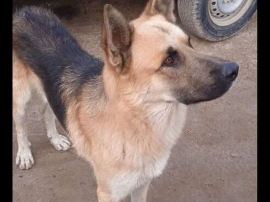 Будьте чьим то светом