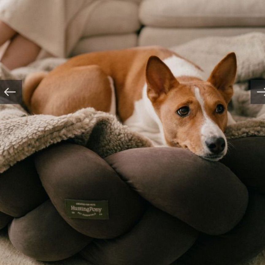 Лежанка для собак