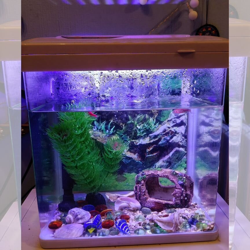 Аквариум 7 литров настольный
