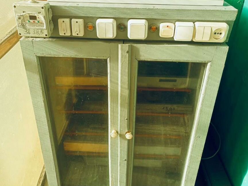 Инкубатор и выводной шкаф