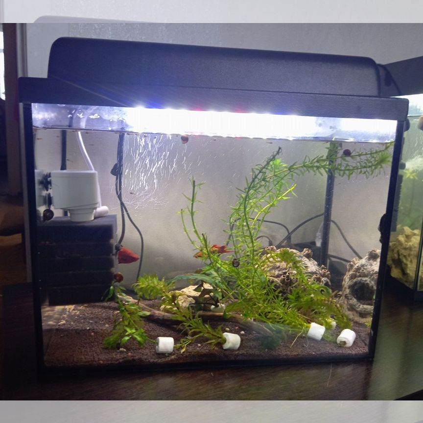 Аквариум 34 литра