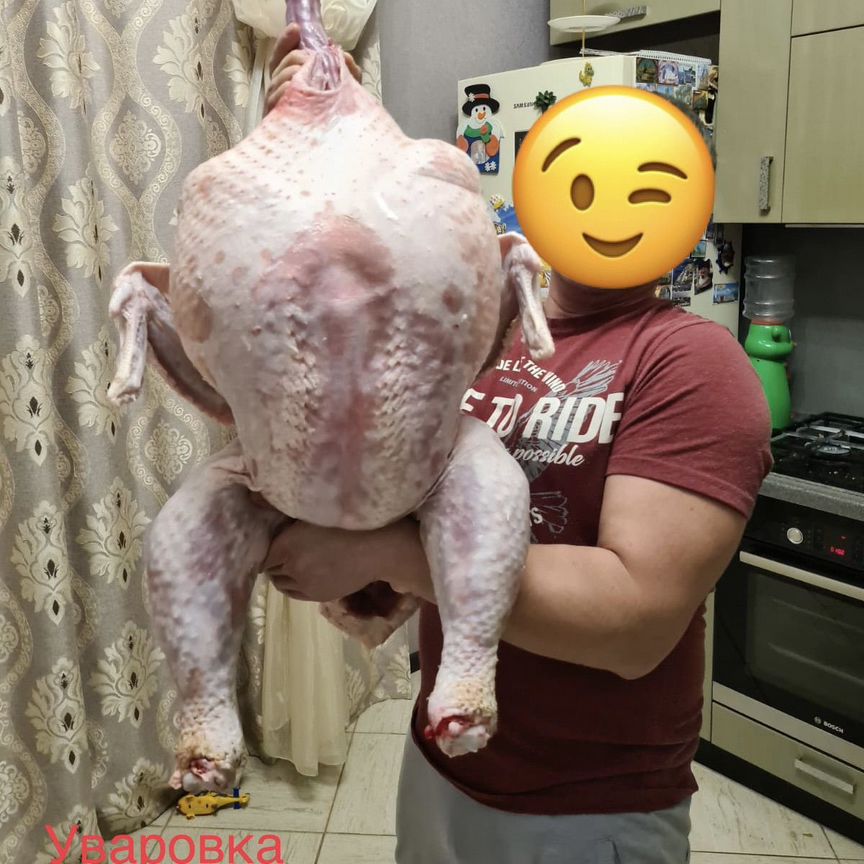 Мясо домашней индейки