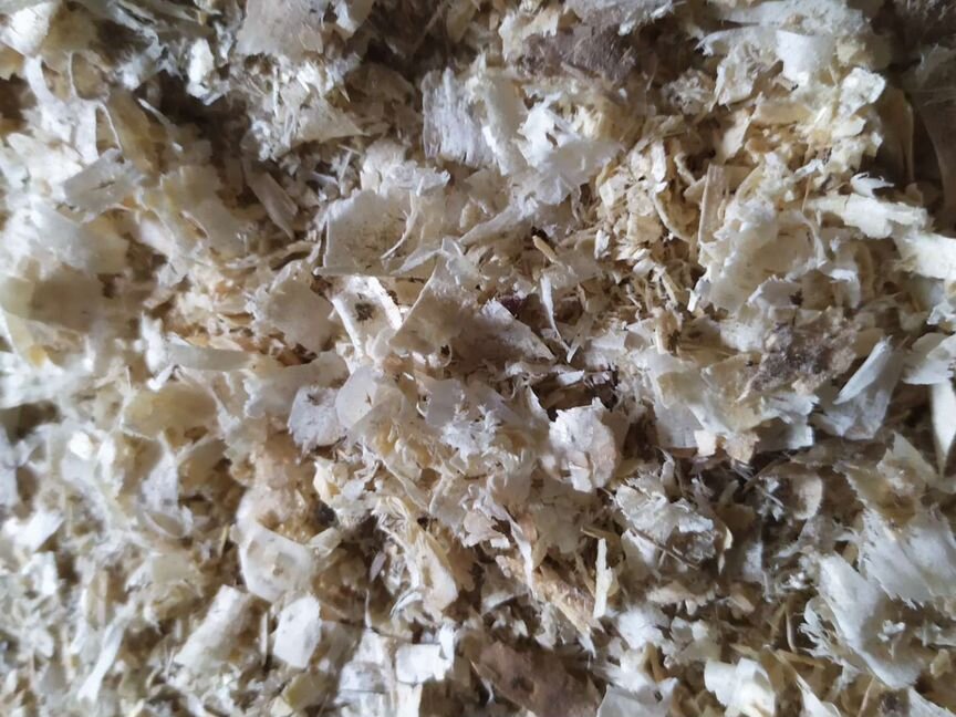 Древесная стружка