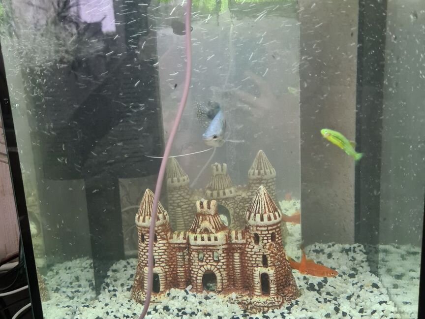 Аквариум с рыбками бу