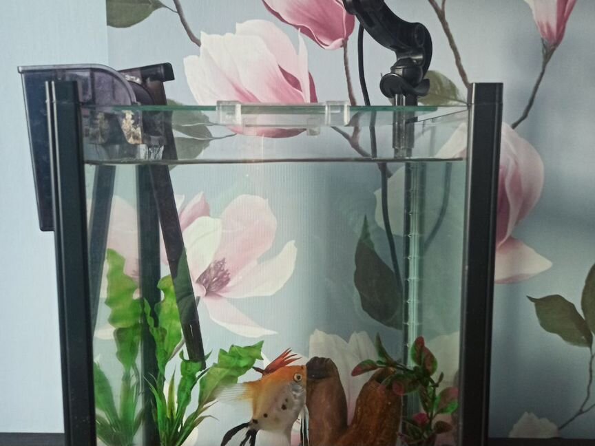 Продам аквариум 20л с рыбкой