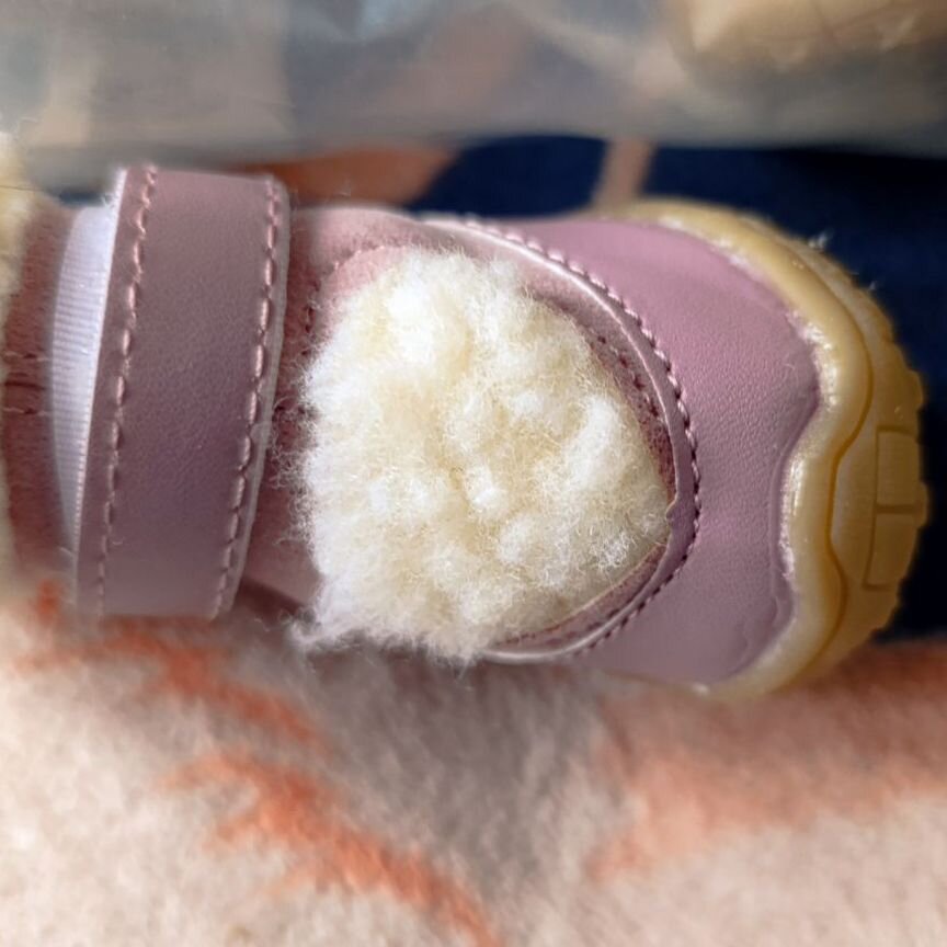 Боитночки для мелких пород собак