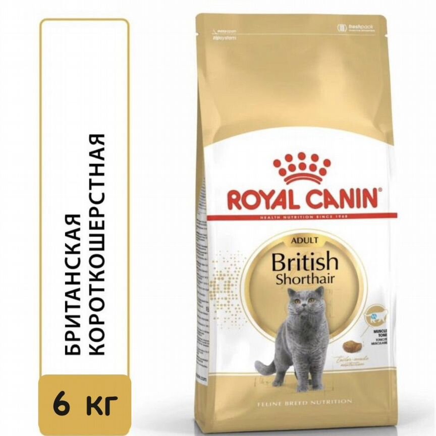 Royal Canin British Shorthair 6 кг