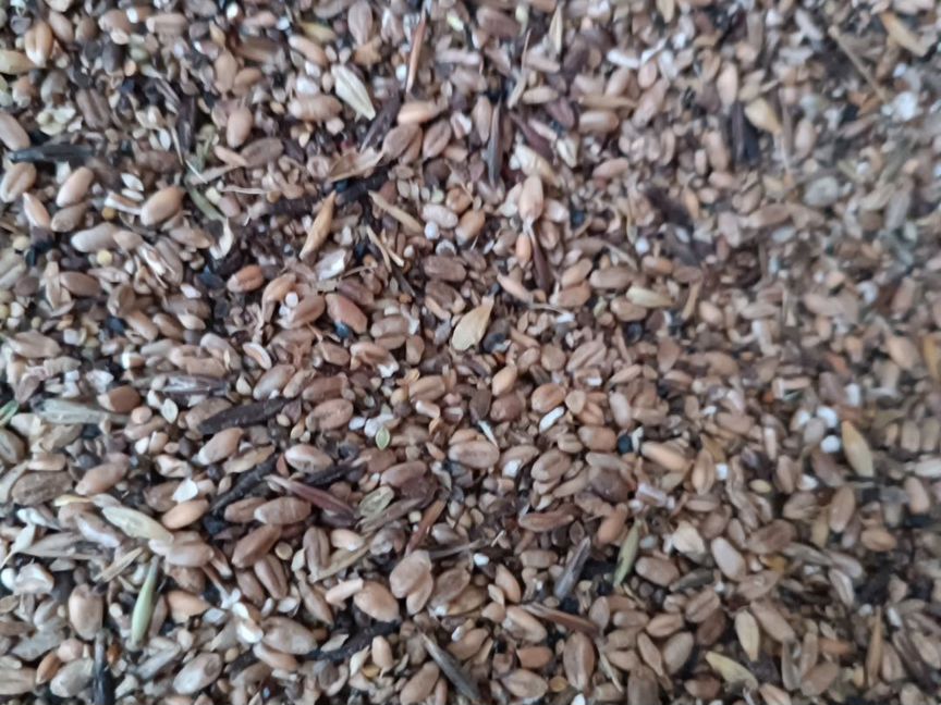 Зерновые отходы обмен с животными. Даставка от тон