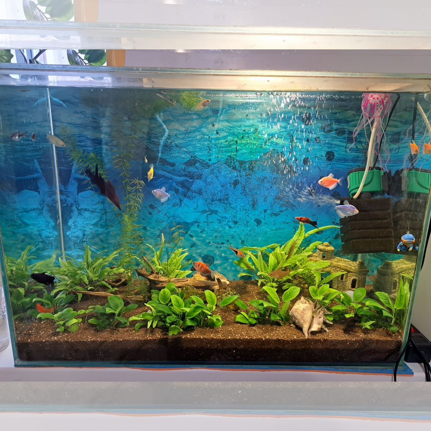 Аквариум