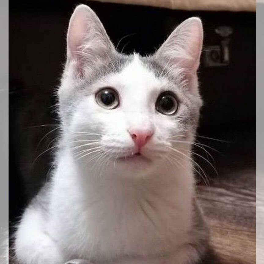 Мальчик 3,5 мес, доставка