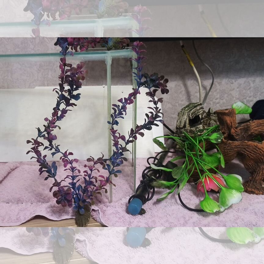 Аквариум 15л с аксессуарами