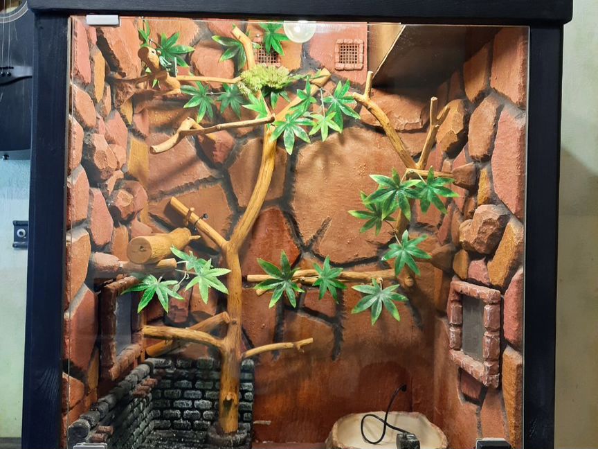 Террариум для хамелеона