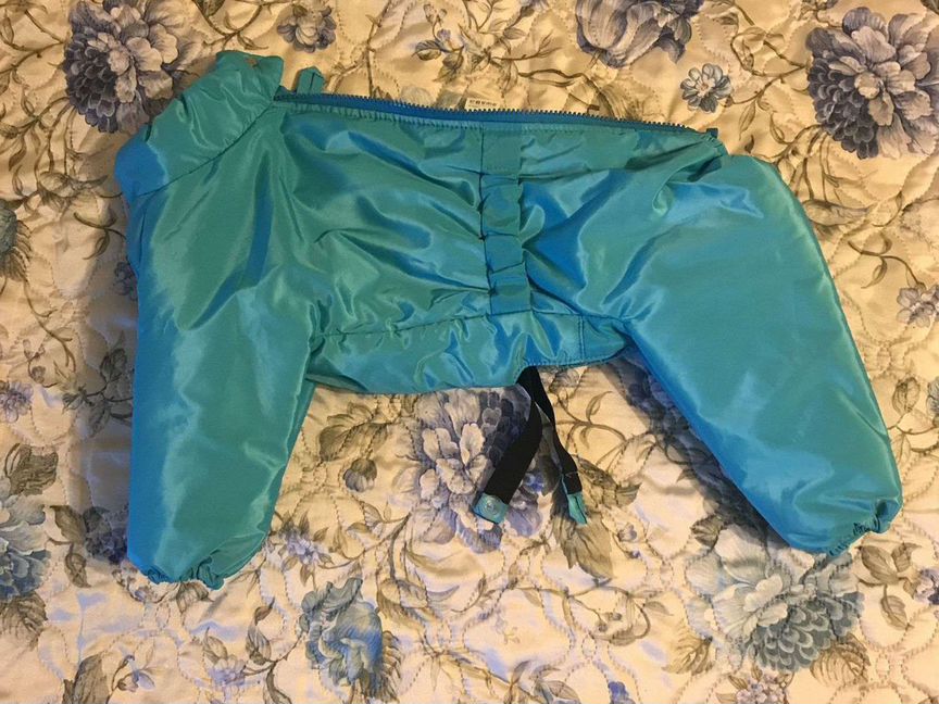 Одежда для собак