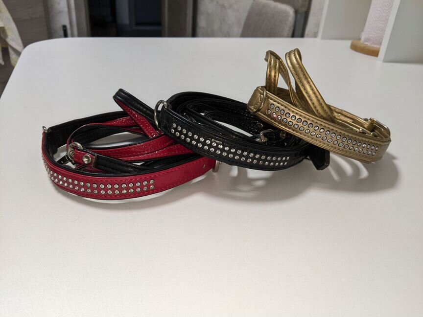 Комплект ошейник и поводок